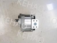 China D41 Series Hydraulic Gear Pump including D41-45CC(R) D41-6E+40-28CCR D41-400C(R) with 1060lpm Flow AISI Stainless Steel and 1 Year Warranty for sale