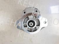 China D41 Series Hydraulic Gear Pump including D41-45CC(R) D41-6E+40-28CCR D41-400C(R) with 1060lpm Flow AISI Stainless Steel and 1 Year Warranty for sale