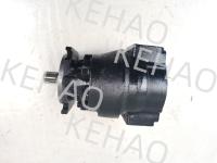 China High Pressure Cast Iron Compact Original Hydraulic Gear Pump MM55 with 1 Year Warranty for Industrial Utilities for sale