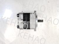 China PVSD2-21 Hydraulic Gear Pump Iron and Aluminum alloy materials  Range for Construction Machinery Factory Supply Hydraulic Parts Customize for sale