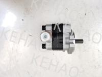 China PVSD2-21 Hydraulic Gear Pump Iron and Aluminum alloy materials  Range for Construction Machinery Factory Supply Hydraulic Parts Customize for sale