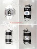 China SDL30-90+80 1+1 Hydraulic Gear Pump Iron and Aluminum alloy materials  Range for Construction Machinery Factory Supply Hydraulic Parts Customize for sale