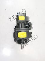 China APG Series Hydraulic Gear Pump APG32-025-016-01R-VPU2-3 High Pressure Industrial Grade Gear Oil Hydraulic Replacement For Construction Equipment for sale