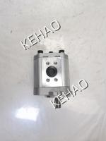 China Factory Supply Hydraulic Gear Pump CBT-F425-AFΦ Iron and Aluminum alloy materials Oil Transfer Pump certification OEM ODM for sale