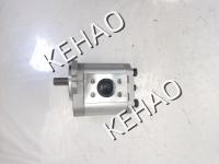 China Factory Supply Hydraulic Gear Pump CBT-F425-AFΦ Iron and Aluminum alloy materials Oil Transfer Pump certification OEM ODM for sale