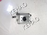 China Komatsu Customize CBWCS Series Hydraulic Gear Pump CBWCS-F316- AF4Z/CBWCS-F320-AF4Z Hydraulic Gear Pump Iron and Aluminum alloy materials Oil Transfer Pump OEM Supported for sale