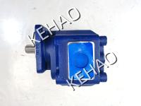 China Hydraulic Gear Pump CBJP Series High Pressure Industrial Grade Gear Oil Pump FL956F(CBGJ3100) FL936F(CBGJ2080) Replacement For Heavy Machinery for sale