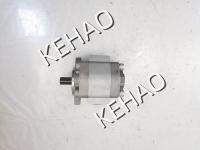 China Customizable Hydraulic Gear Pump H200 Iron and Aluminum alloy materials Oil Transfer Pump for  Komatsu Heavy Machinery OEM Supported for sale