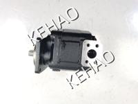 China Factory Supply JCB Hydraulic Gear Pump HP365A578EFAB22-7 Iron and Aluminum alloy materials Oil Transfer Pump certification OEM ODM for sale