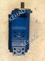 China Customize Hydraulic Gear Pump P124-G30 0858BL54 High Speed Industrial Grade Gear Oil Hydraulic Replacement For Construction Equipment for sale