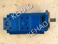 China Customize Hydraulic Gear Pump P124-G30 0858BL54 High Speed Industrial Grade Gear Oil Hydraulic Replacement For Construction Equipment for sale