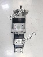 China Factory Supply Hydraulic Gear Pump SAL2-45+SB25+21-13TR Iron and Aluminum alloy materials 3-stage Oil Transfer Pump OEM ODM with One Year Warranty for sale