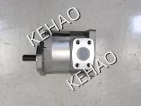 China Komatsu SAR1 SAR2 SAR3 Hydraulic Gear Pump SAR2-50-A2-13T Iron Aluminum alloy materialsl Pump with 150bar-250bar Pressure for Industrial machinery for sale