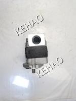 China Hydraulic Gear pump SGP1 Series SGP1-25R520 SGP1-30A1H1 SGP1-A36L070 Alloy Material Replacement Spare Parts Steering device One Year Warranty Gear pump for sale