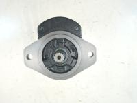 China Customize Hydraulic Gear Pump 1511 379 032 with 13 Teeth 32cc 36cc 46cc Flow of Rate Cast Iron Oil Gear Pump For Construction Heavy Equipment for sale