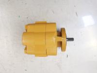 China Hydraulic Gear Pump PH31-10-9T L Hydraulic Motor High Pressure Pump Cast Iron Aluminum alloy Oil Pump Power Source Hydraulic Spare Parts for sale