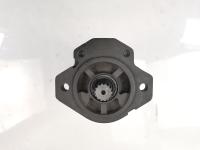 China Customizable Gear Pump 1LM35-27CG09R Hydraulic Oil Transfer Pump Used in Heavy Machinery Aluminum alloy Material  One year warranty Pump Factory Supply for sale