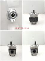China Hydraulic Pump CBHZA Series Gear Pump CBHZA-F32-A1LH6L Cast Iron and Aluminum alloy materials Industrial Grade Oil Transfer Pump for Heavy Machinery Parts for sale