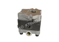 China Loader Excavator High Pressure Hydraulic Gear Pump for PC50 PVD-2B-2 for sale