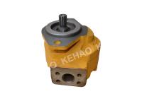 China 1PA1911Q3B26A 18PL240304BK-4  Gear Pump / Cast Iron Gear Pump for sale