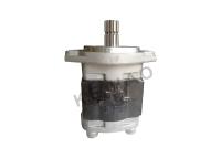 China F36 13T H  L    Forklift Gear Pump Aluminum Alloy Material One Year Warranty for sale
