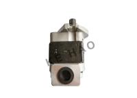China OEM High Pressure Gear Pump , Cast Iron Hydraulic Gear Pumps Long Working Life for sale