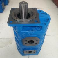 China CBGJ Double Pump  Square cover Spline Blue Compact Original  Gear Pump For Engineering Machinery And Vehicle for sale