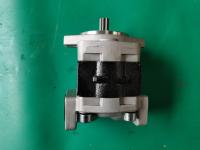 China Iron SGP1-F23-ALΦ9R Gear Pump Siver And Black Color for sale