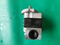 China Iron SGP1-F23-ALΦ9R Gear Pump Siver And Black Color for sale