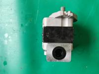 China Iron SGP1-F23-ALΦ9R Gear Pump Siver And Black Color for sale