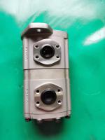 China 2P3146-46-AR  High quality hydraulic pump/Gear pump for WHEEL LOADER/CRANES/FOXLITS/EXCAVATORS for sale