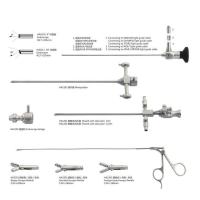 China Autoclavable Medical 30 deg Cystoscope Surgical HD Endoscope Optic 302mm for sale