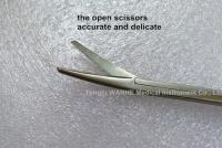 China ISO13485 Certified Thoracoscopy And Thoracotomy Instruments With Dissecting Scissors for sale