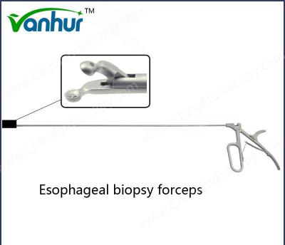 China OEM Acceptable Esophageal Biopsy Forceps for Surgical Instruments in Esophagoscopy for sale