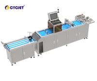 China CYCJET CVI 450-VD Automated Visual Inspection Machine For Coding Machine for sale