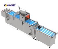 China CYCJET CVI 450-VD Automated Visual Inspection Machine For Coding Machine for sale
