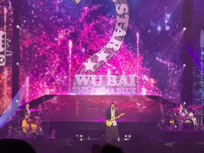 China Concert and Festival LED Screen Rental P3.91, Cast Aluminum Cabinet, Stable Performance for sale