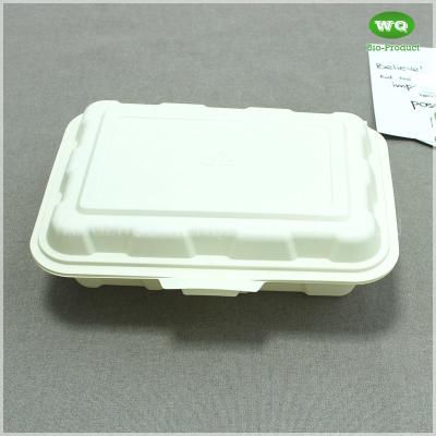 China Food Grade Corn Starch PP 9x6 Inch 2 Compartments Lunch  Box,Factory Offer Renewable Resources Disposable Containers for sale