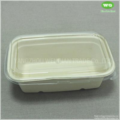 China 1250ml Biodegradable Unbleached Fiber Pulp Food Container With Lid Biodegradable Paper Pulp Food Packaging Box Container for sale