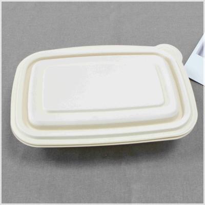 China Disposable Takeaway Lunch Box With Lid Made Of Bioplastic, Factory Offered Corn Starch PP Food Packaging Container for sale