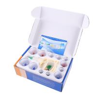 China 13pcs/Set Vacuum Cupping Cups Acupuncture Massage Cupping Jars Aspirating Treatment for sale