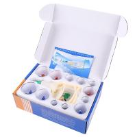 China Plastic Vacuum Therapy Hijama Cupping Set Suction Tools for sale