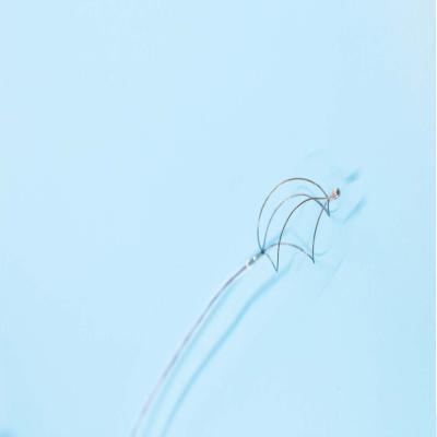 China Silver Round Stone Basket for Tissue Removal for sale