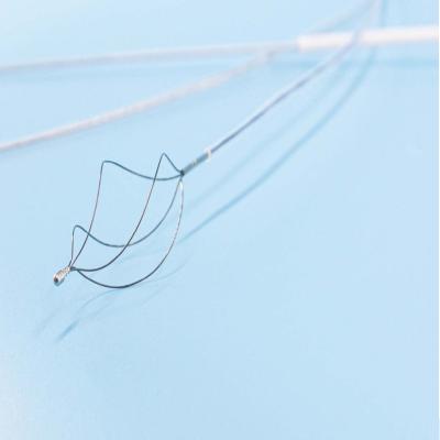 China Silver Stone Basket for Endoscope for sale