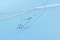 China Silver Round Nitinol Stone Retrieval Basket Endoscopy Smooth Edges for sale