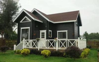 China Fast Assembly Steel Structure New Design Village Houses Modern Light Gauge Villa for sale