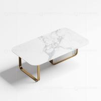 China 130x70x45cm SS Coffee Table Sintered Stone Top Coffee Table For Living Room for sale