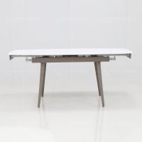China Modern Home 1.1CBM SS Steel Furniture 4 Seater Extendable Dining Table Set for sale