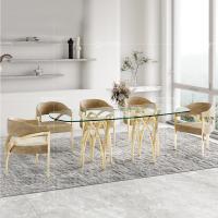 China Apartment 201 SS Steel Furniture Glass Dining Table for sale