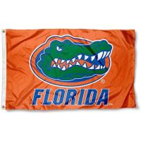 China Custom Outdoor Polyester Banner with Brass Grommets - 3x5 ft Sport Flag, 90%+ Color Penetration for Events & Advertising for sale